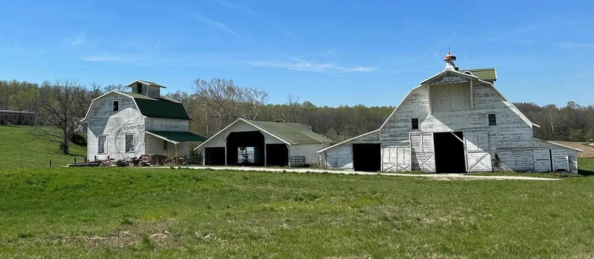 Castle Knoll Farms castle-knoll-farms