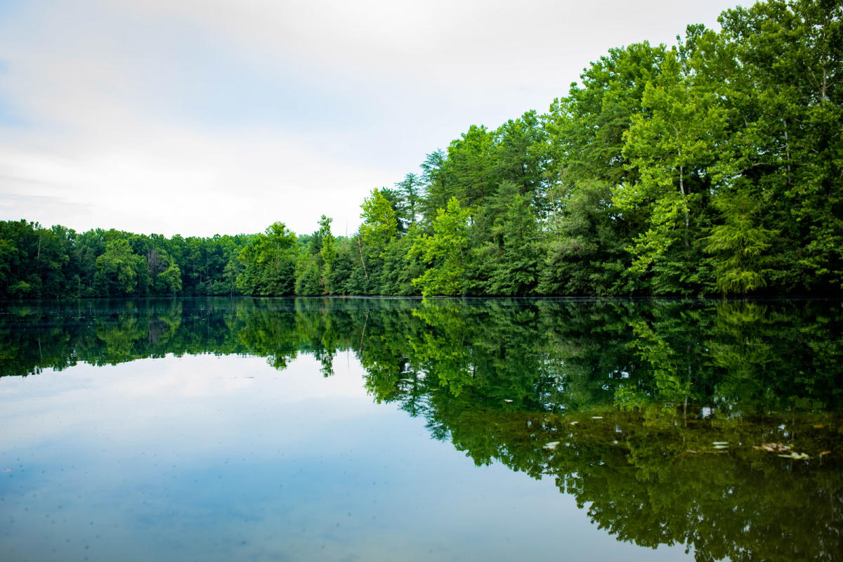 Goose Pond Fish & Wildlife Area