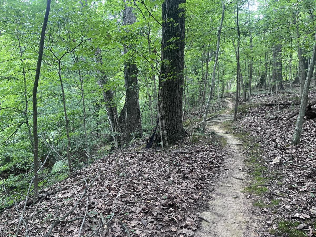 Eagle's Trace Mountain Bike Trail
