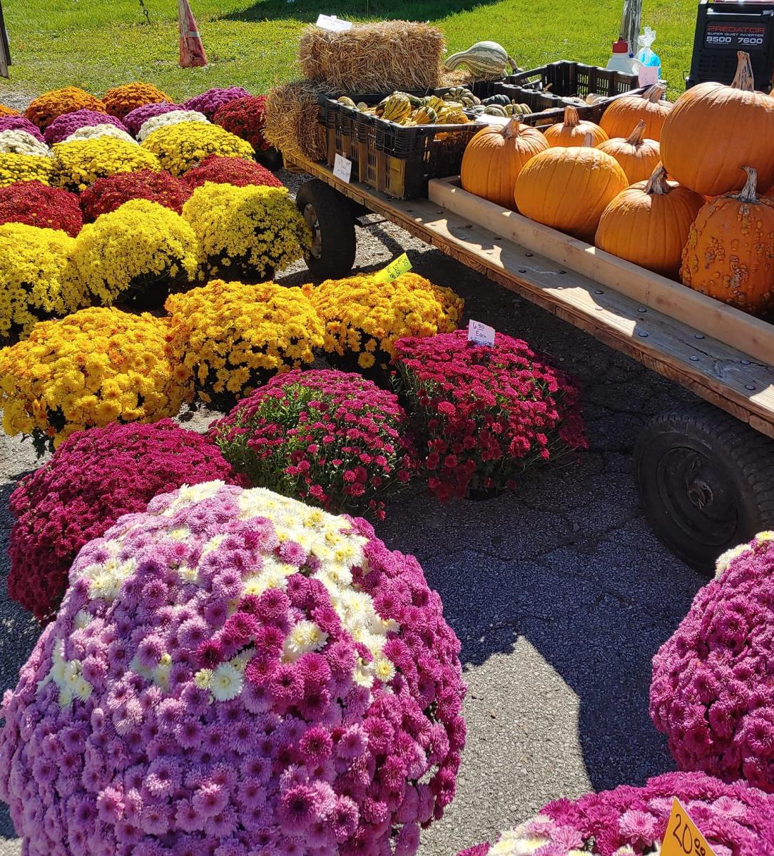Hoosier Fall Festival