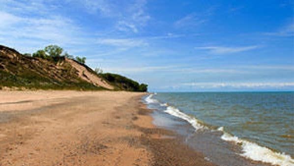 Indiana Dunes Fall Foliage