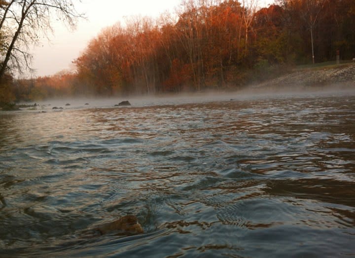J.E. Roush Lake Fish and Wildlife Area