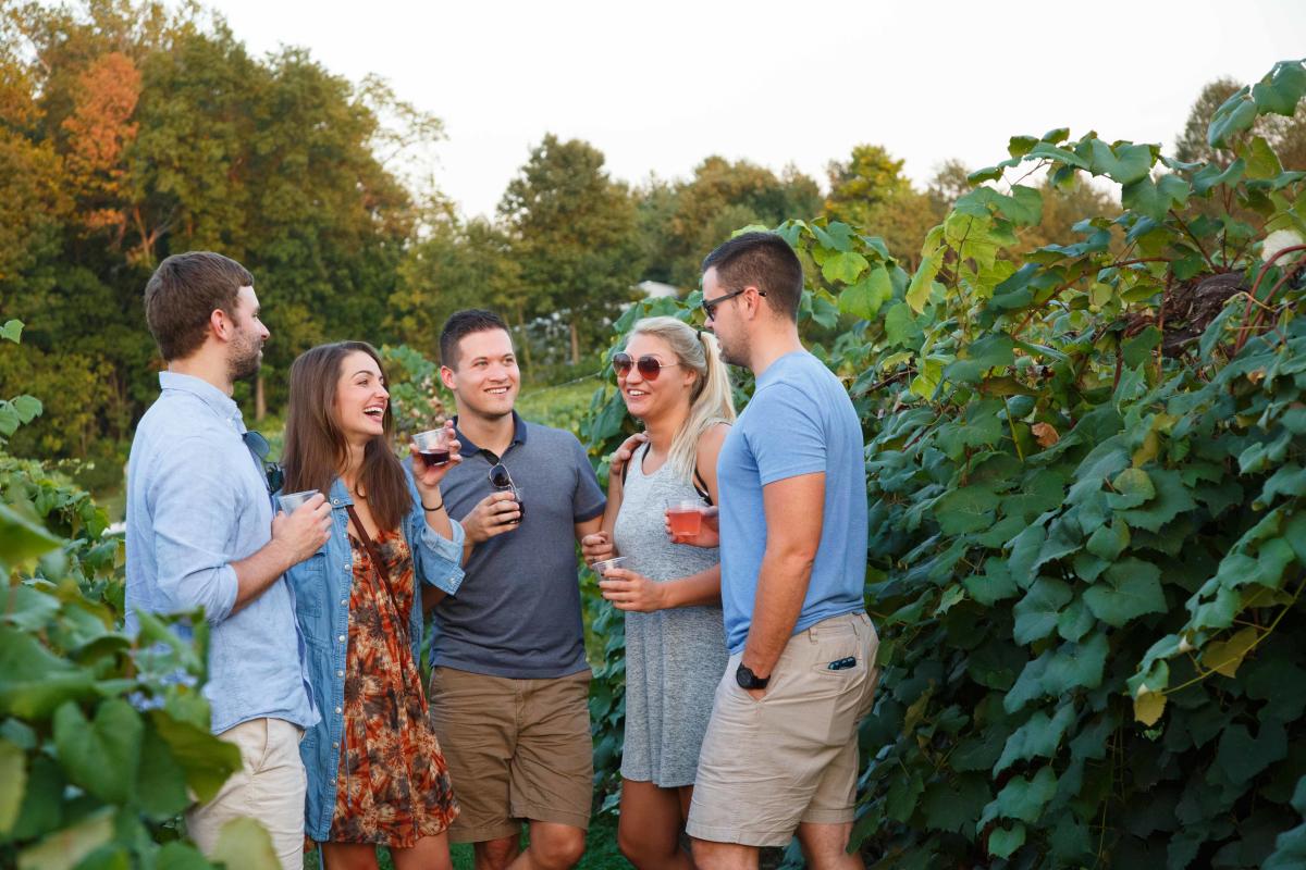 Mallow Run Winery