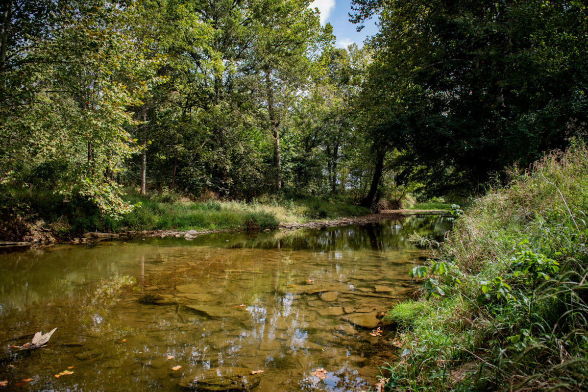 Knobstone Trail-Delaney Park Trailhead