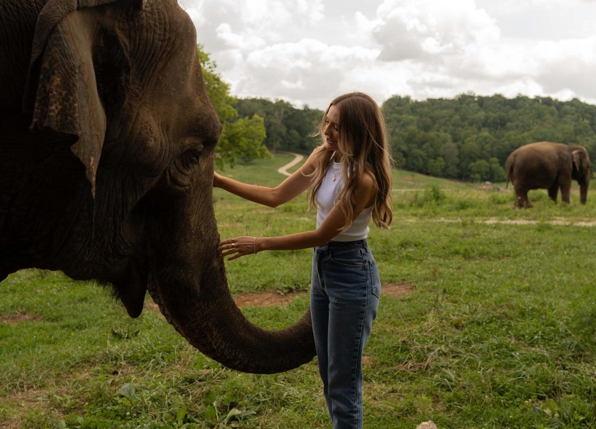 Wilstem Wildlife Safari