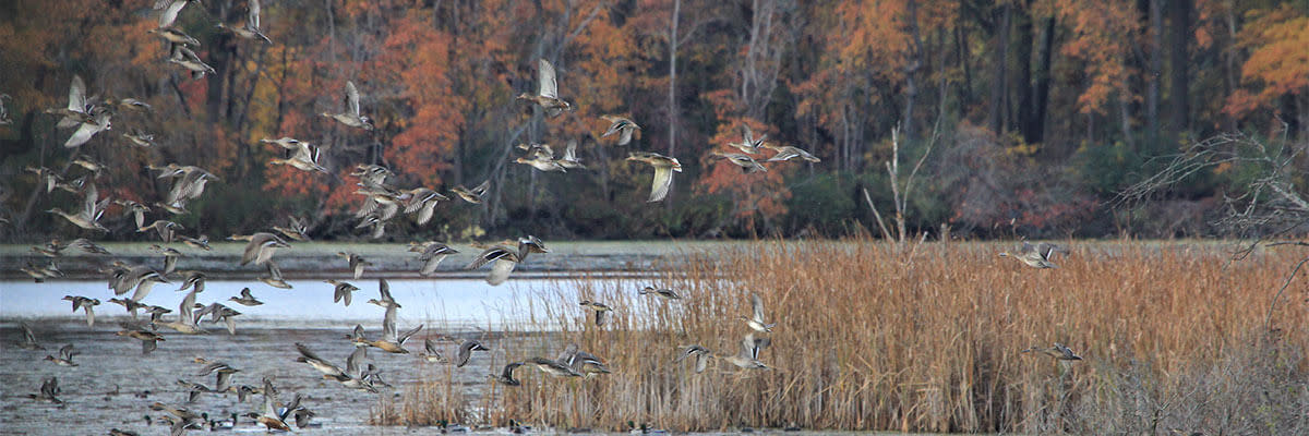 Willow Slough Fish & Wildlife Area