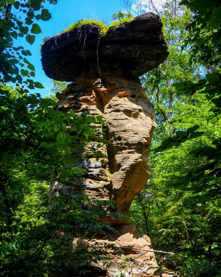 Jug Rock Nature Preserve