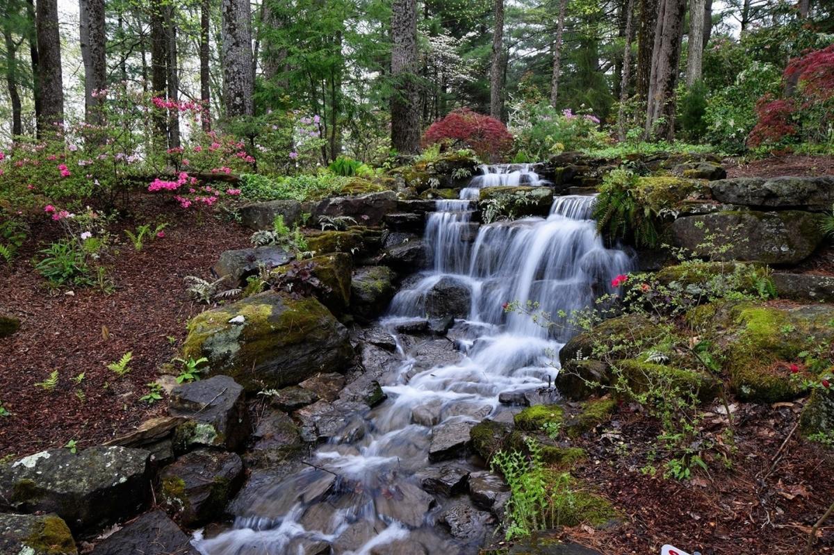 Azalea Path Arboretum & Botanical Gardens
