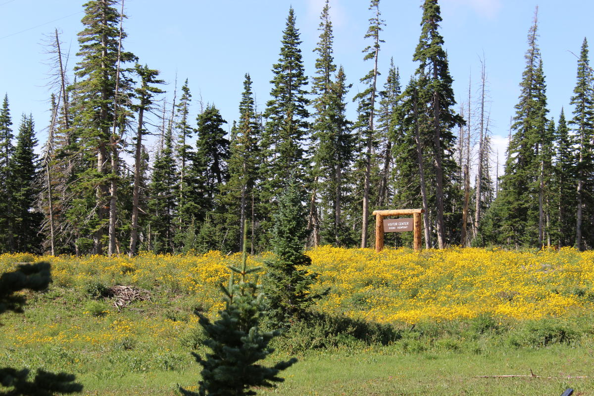 Cedar Breaks National Monument - Point Supreme Campground