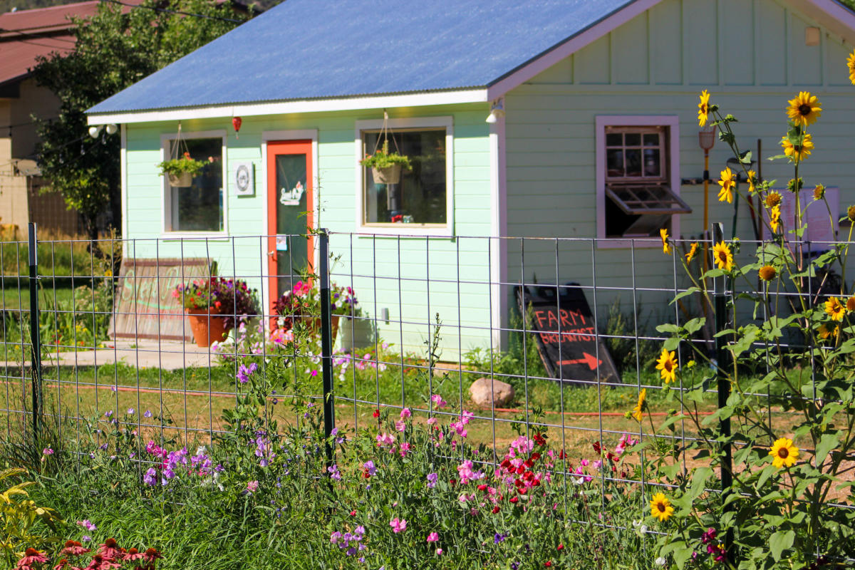 Sweet Pea Farm & Orchard