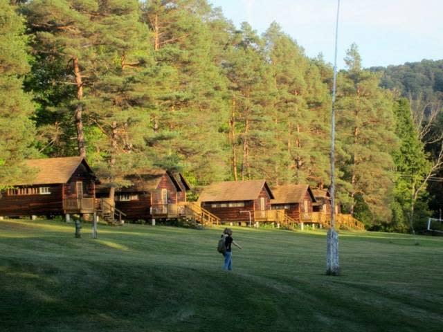 Arnot Forest