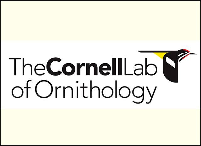 Cornell Lab of Ornithology and Sapsucker Woods