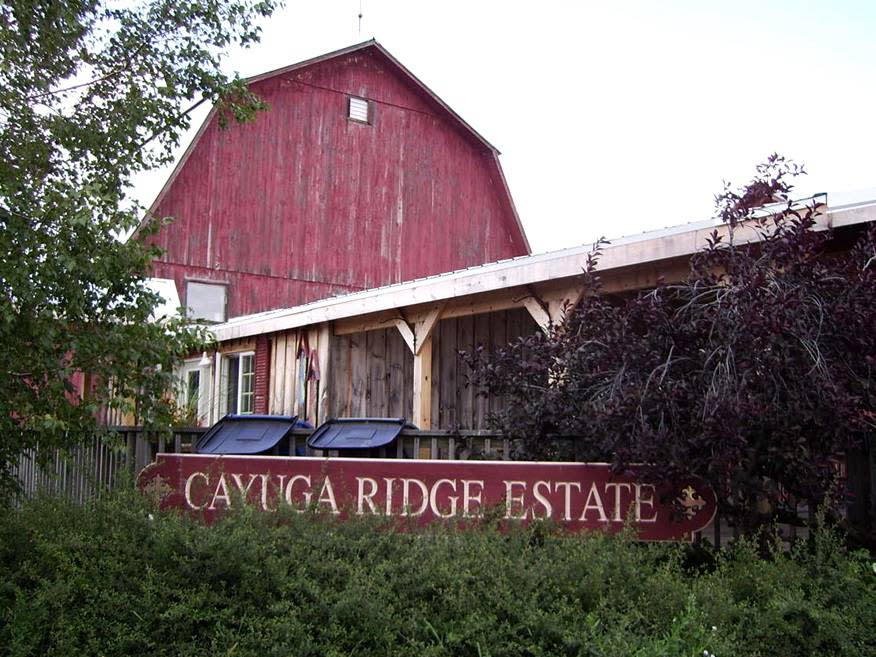Cayuga Ridge Estates Winery