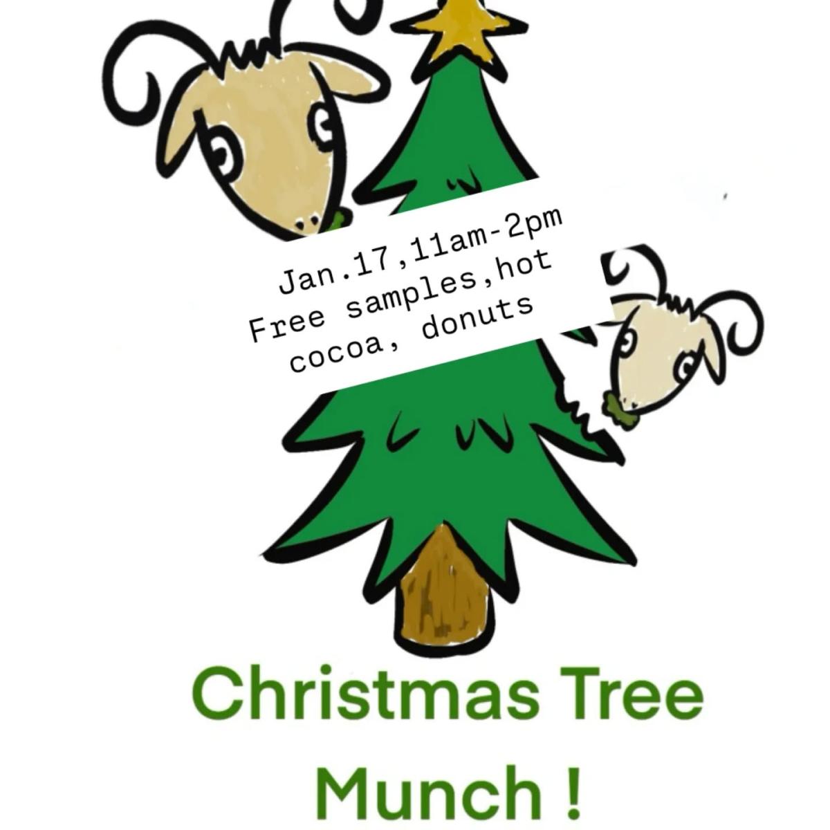 Christmas Tree Munch | Interlaken, NY 14847