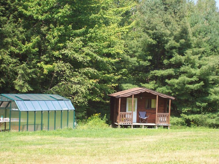 Camp Earth Connection: A Woodland Campground