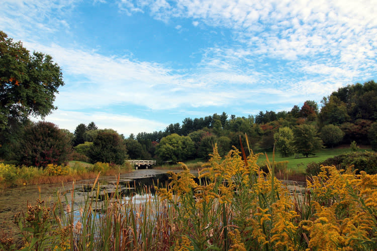 Cornell Botanic Gardens