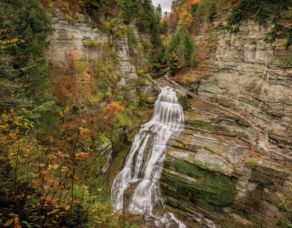 Robert H. Treman State Park