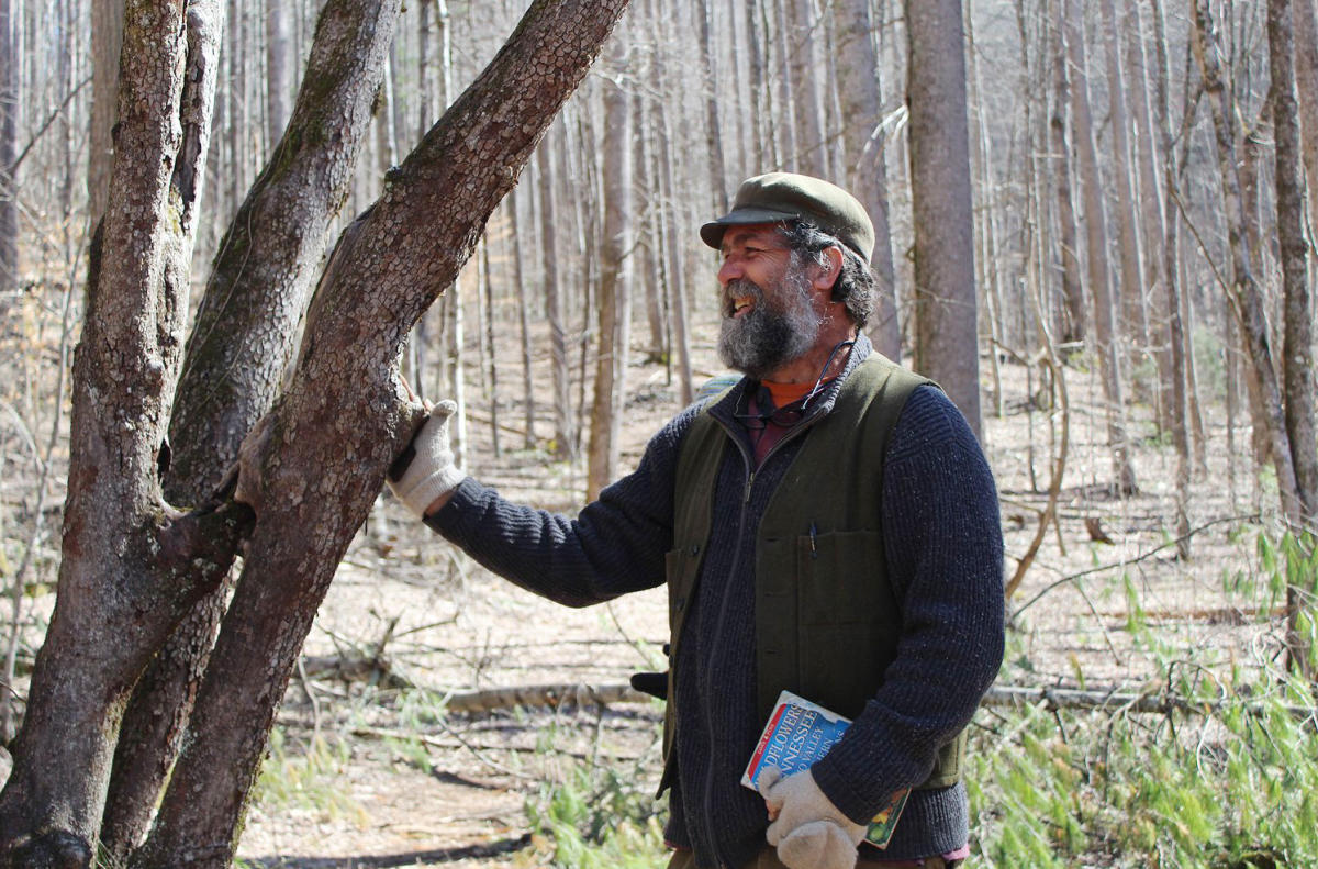 Bigelow’s Botanical Excursions | Jackson County, NC