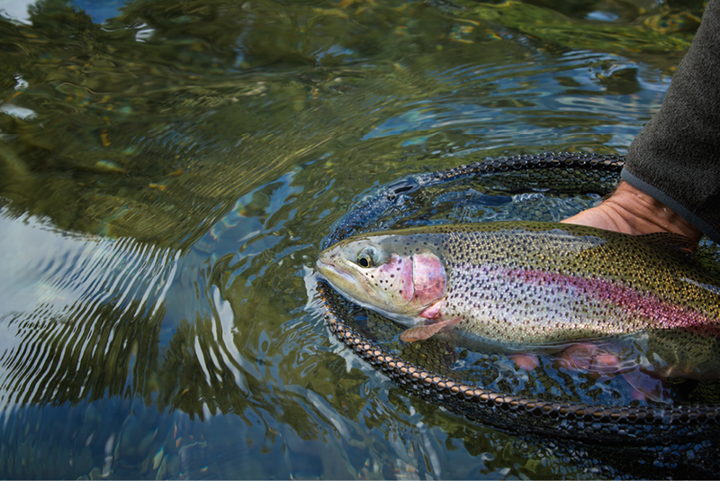 Headwaters at Flagg Ranch