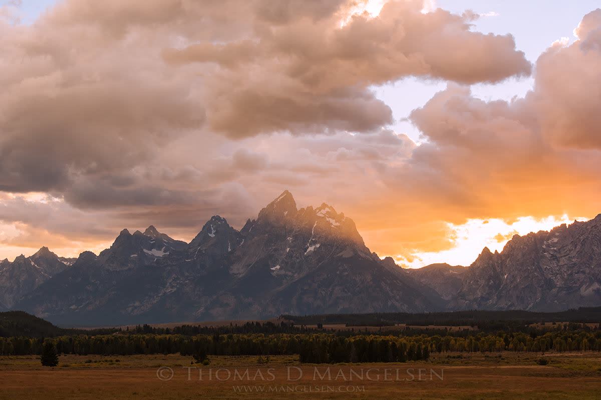 MANGELSEN - Images of Nature Gallery