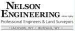 Nelson Engineering