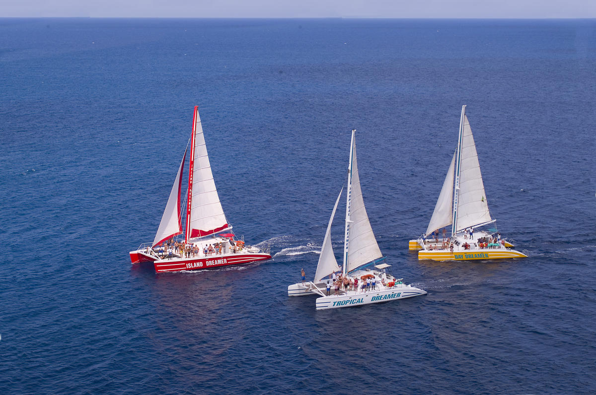 Dreamer Catamaran Cruises