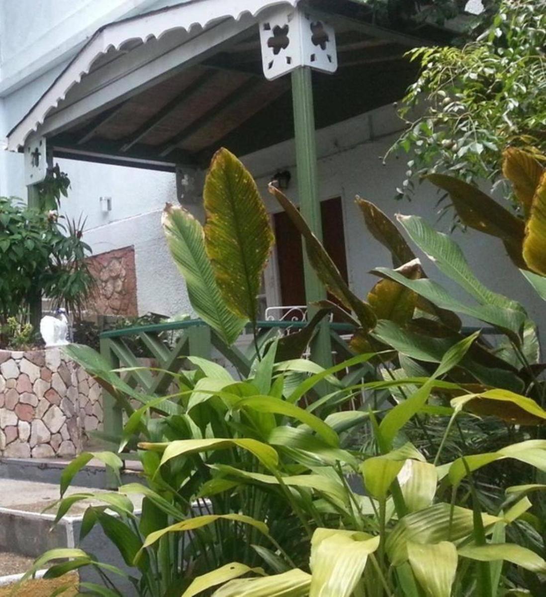 Caribic House