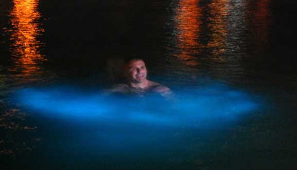 Luminous Lagoon
