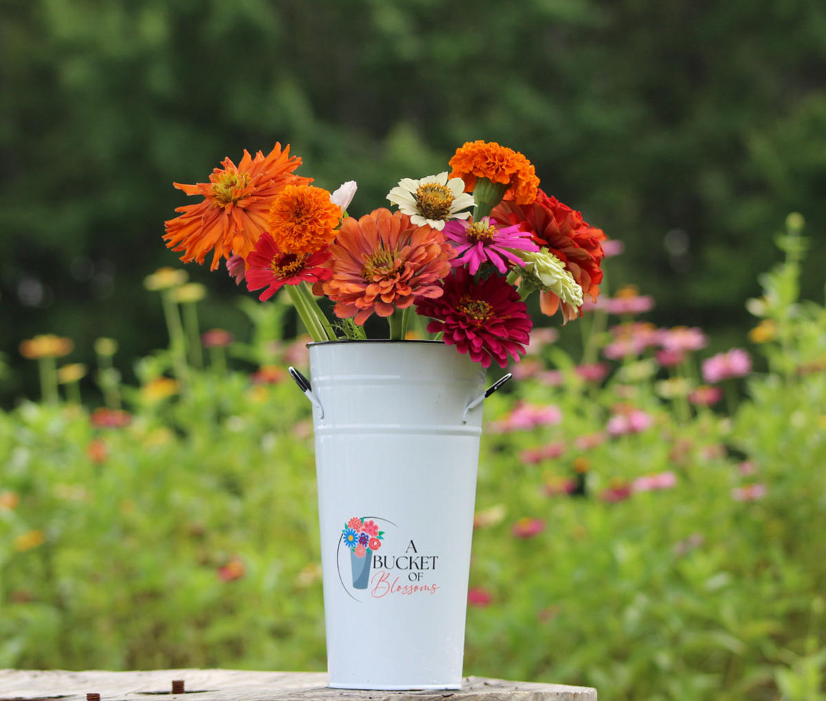 A Bucket of Blossoms
