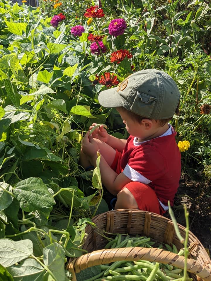 Shead Farm - Garland KS, 66741
