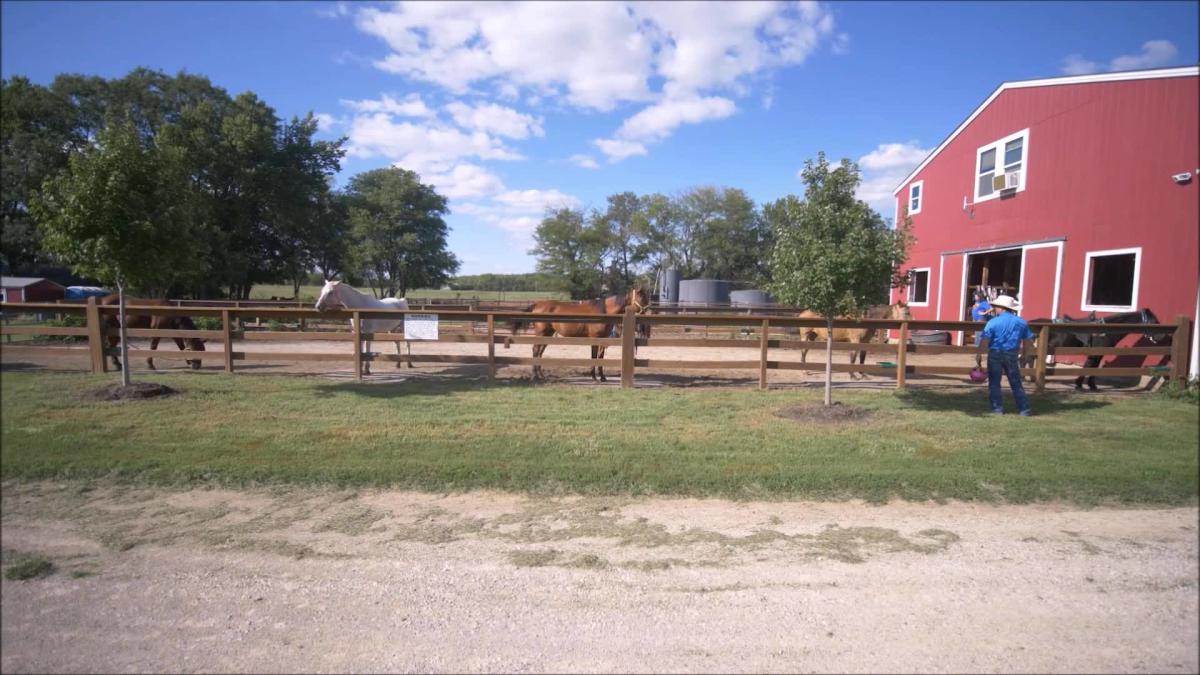 New Horizon Ranch - Rantoul , 66079