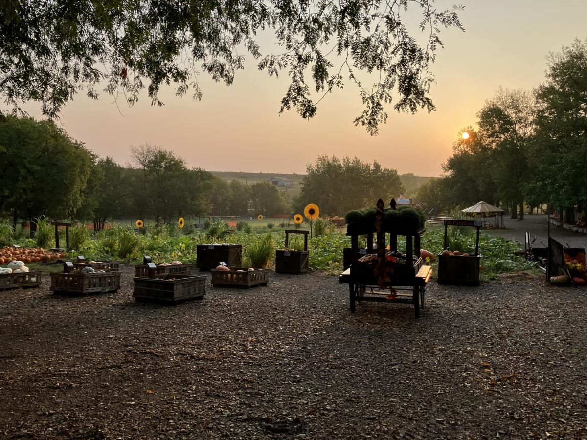 Little Munchkins Pumpkin Patch and Farm Activities - Alma KS, 66401