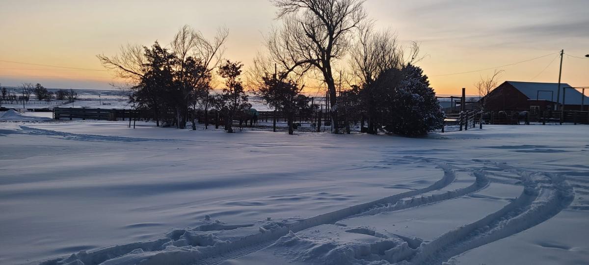 T-Bar Ranch - Goodland KS, 67735