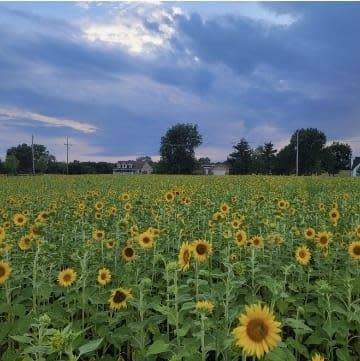 Four Corners Ranch LLC. - Gardner KS, 66030