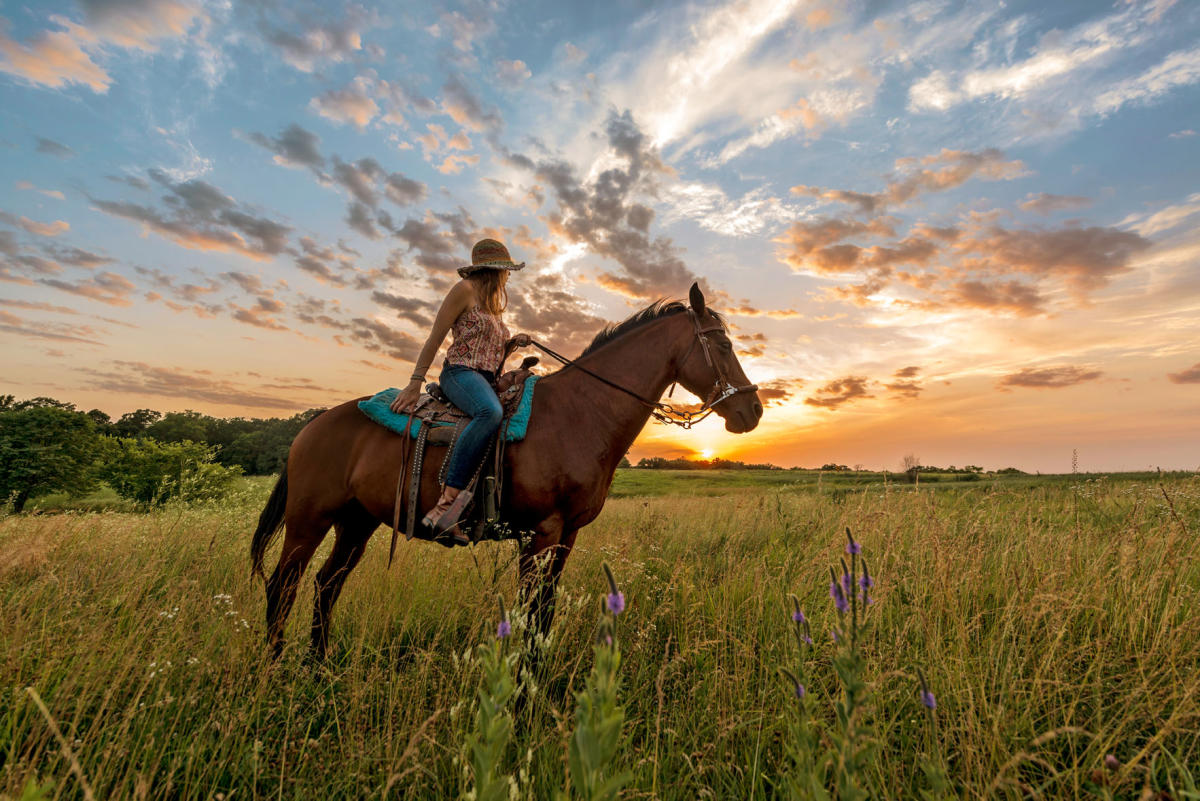 Circle S Ranch & Country Inn - Lawrence KS, 66044