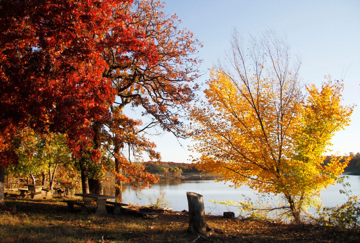 Cross Timbers State Park - Toronto Lake - Toronto KS, 66777