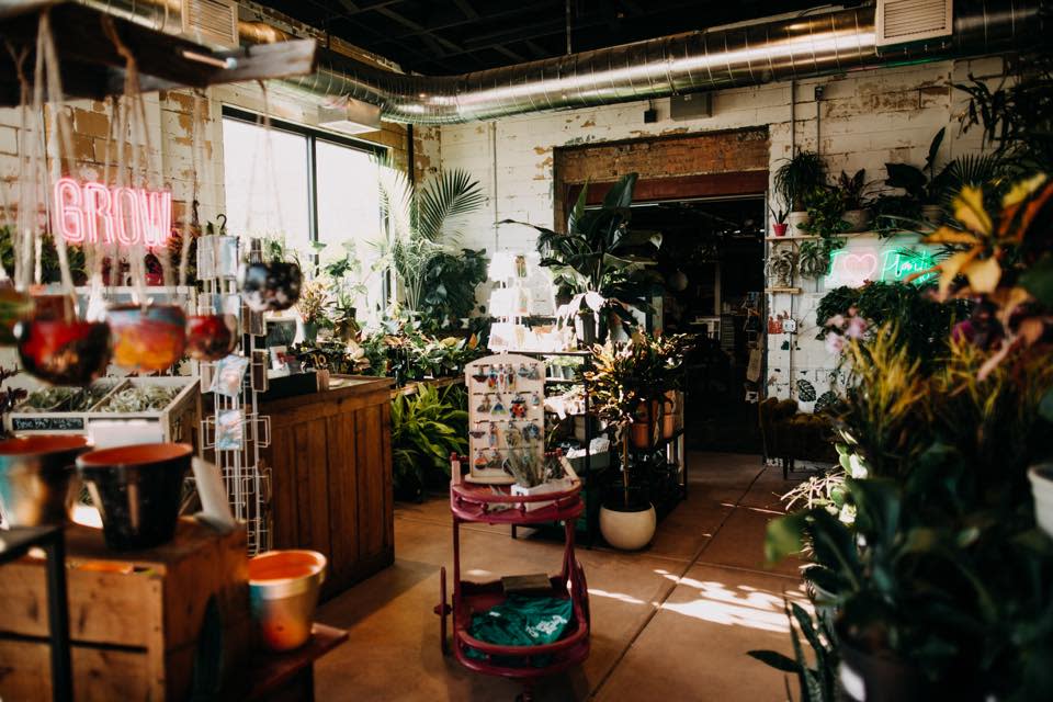 GROW Giesen Plant Shop - Wichita KS, 67202
