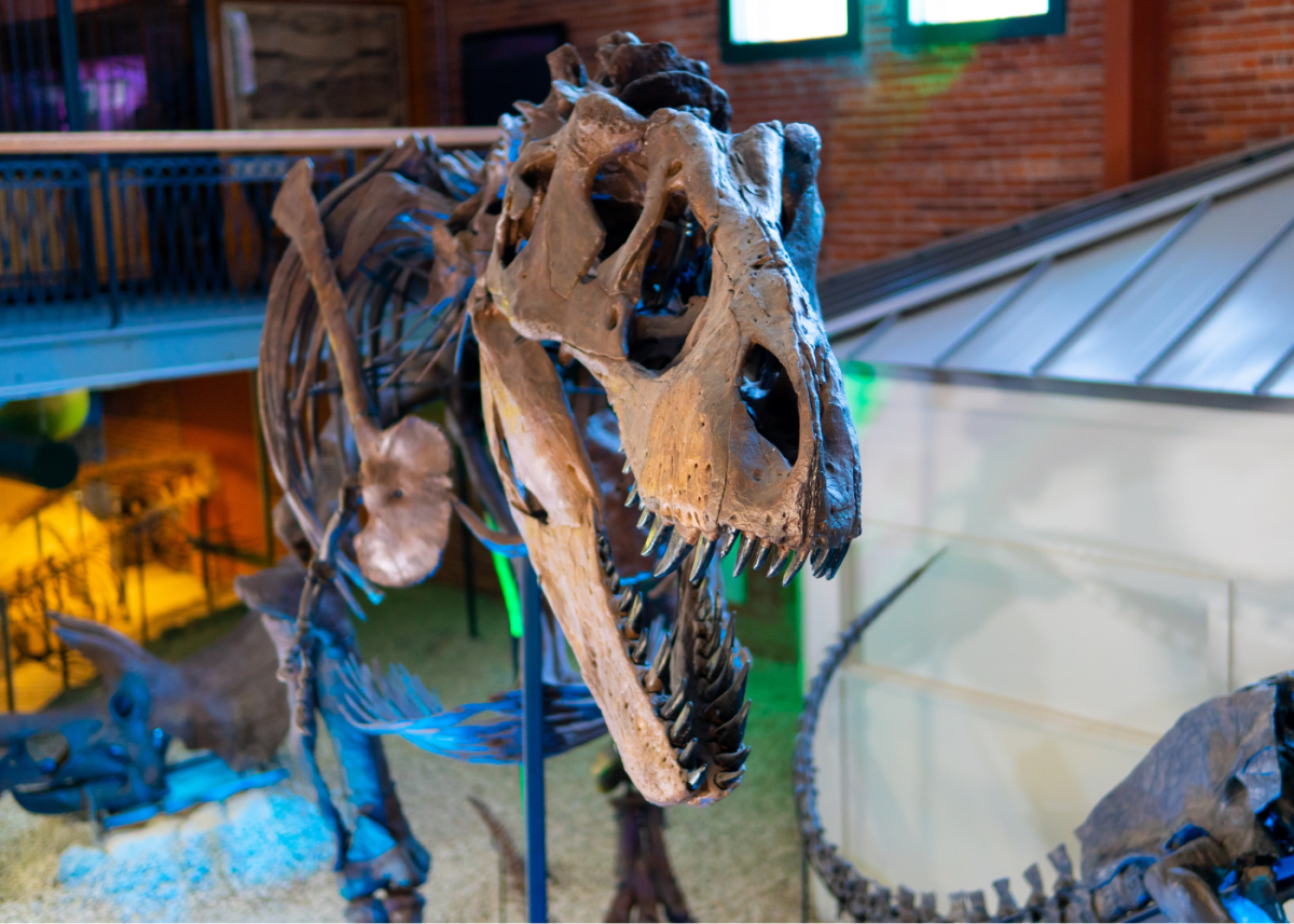 $1 Off General Admission - Wichita KS, 67202