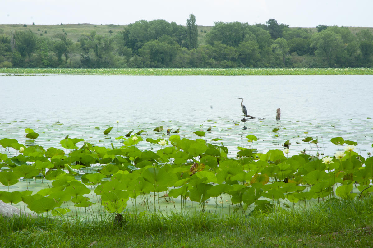 Ottawa State Fishing Lake - Minneapolis KS, 67467