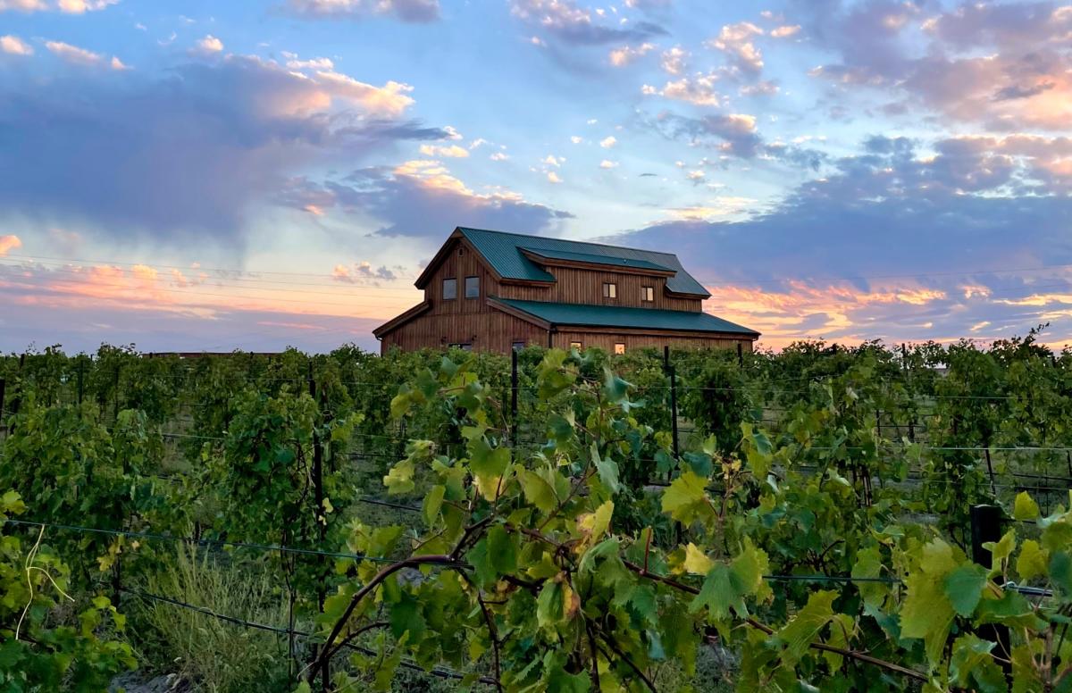 Wahlmeier Farms Vineyard - Jennings KS, 67643
