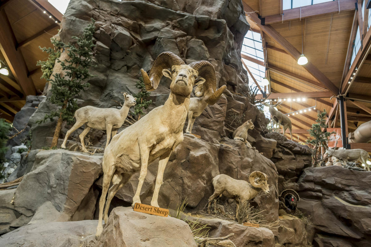Bass Pro Shops - Kansas City KS, 66111