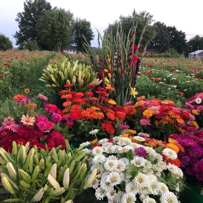 Huns Garden - Bonner Springs KS, 66012