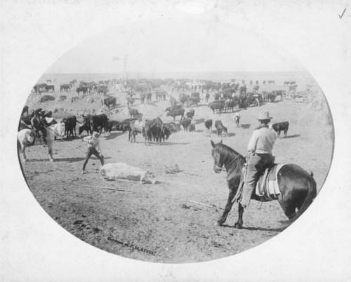 Comanche County Historical Museum - Coldwater KS, 67029