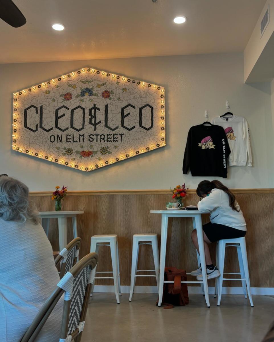 Cleo and Leo on Elm St. - Lawrence KS, 66044