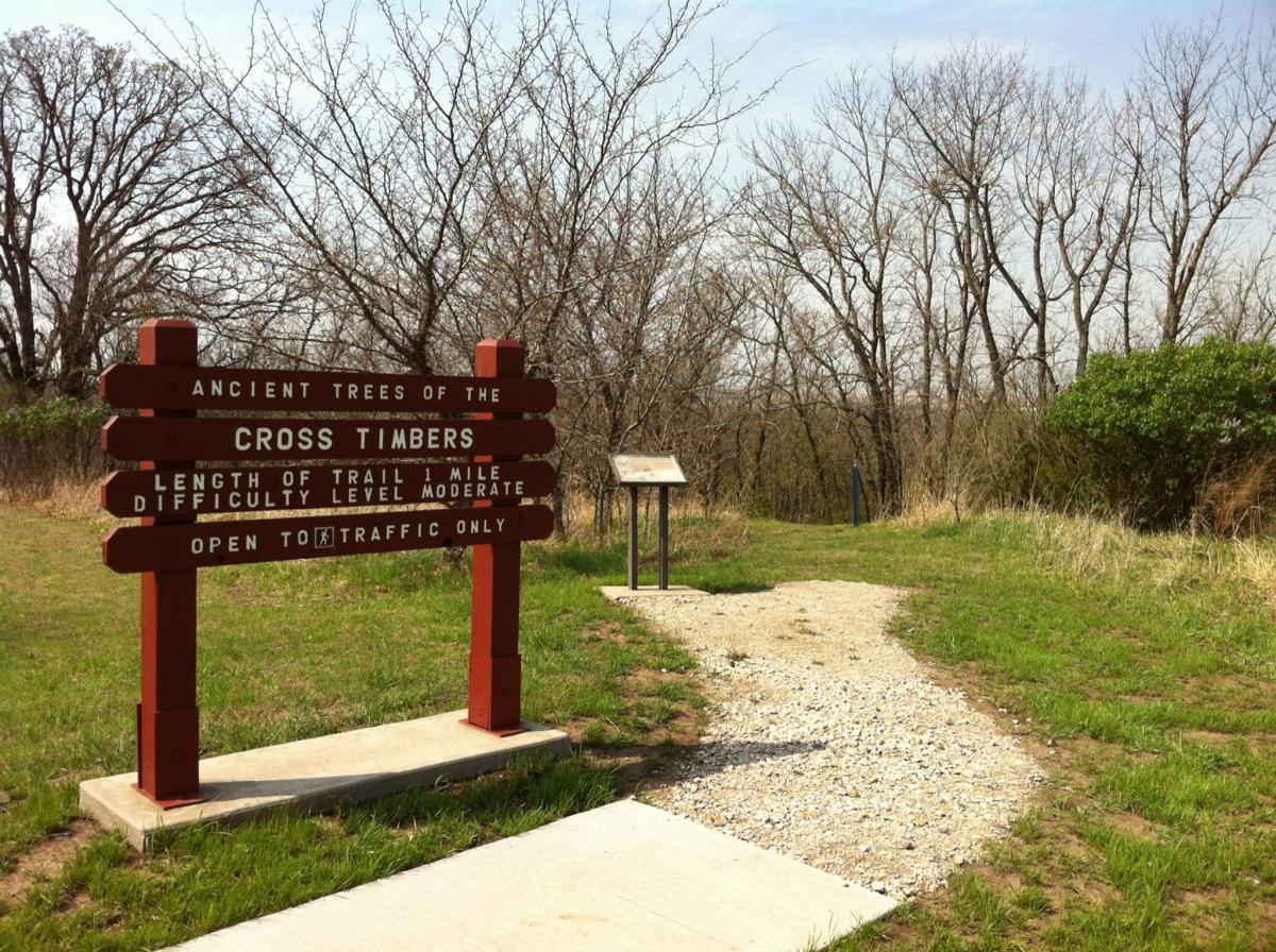 Ancient Trees of the Cross Timbers Trail - Yates Center KS, 66783