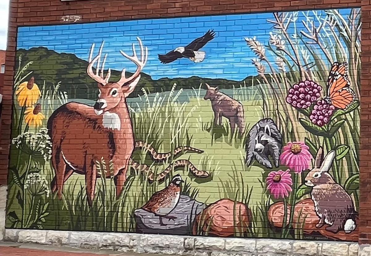 Eastern & Western Tallgrass Prairie Murals - Holton KS, 66436