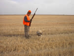 Golden Prairie Hunting Service - Sublette KS, 67877