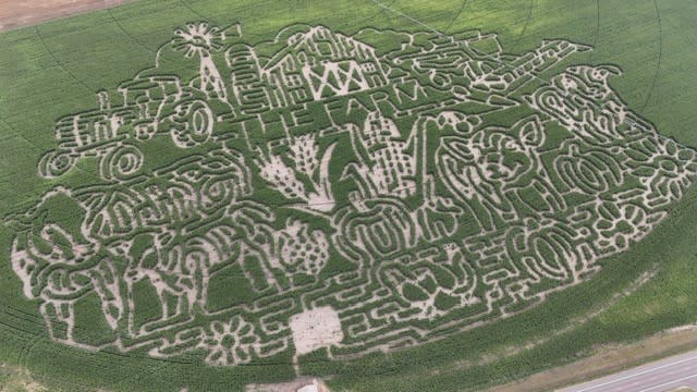 Red's Corn Maze & Pumpkin Patch - Oakley KS, 67748