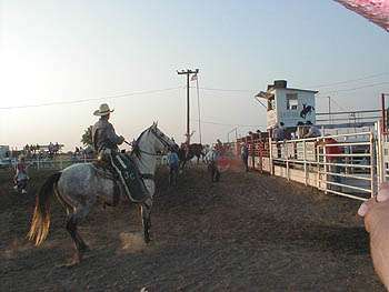Paradise Creek Festival & Rodeo - Plainville KS, 67669