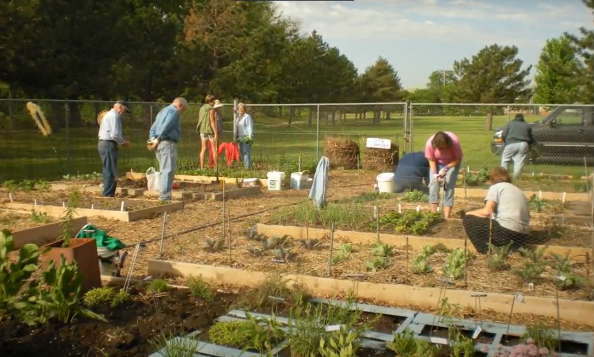Shawnee County Demonstration Gardens - Vegetable Garden - Topeka KS ...